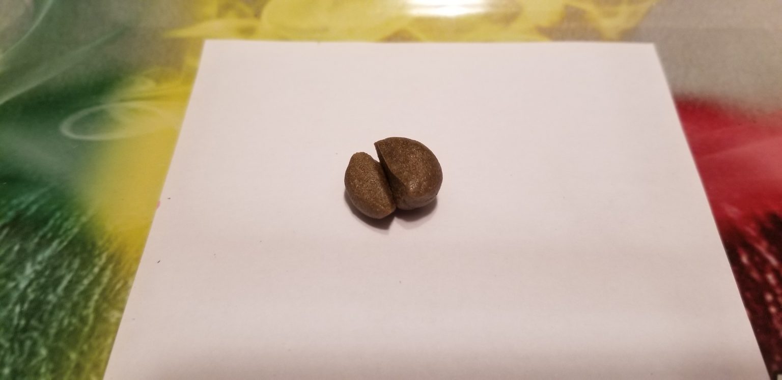 Ice Water Hash par Nugz - SQDC - BuzzNation