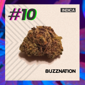 Top 10 BUZZNATION 100% Québécois des meilleurs cannabis de la SQDC
