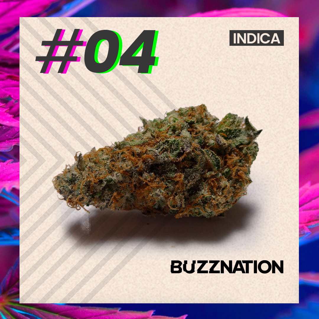 Top 10 BUZZNATION 100% Québécois des meilleurs cannabis de la SQDC
