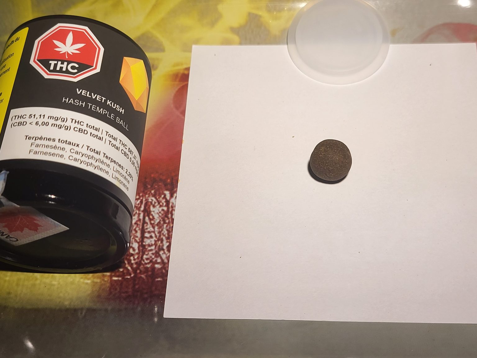 Velvet Kush Temple Ball par Origami Extraction - Médical - BuzzNation