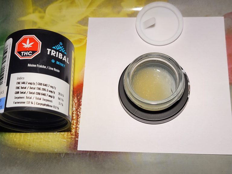 G Mint Résine Fraiche par Tribal - SQDC - BuzzNation